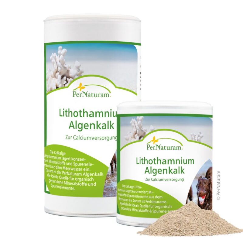 PerNaturam Lithothamnium Algenkalk | Für starke Knochen & Vitalität